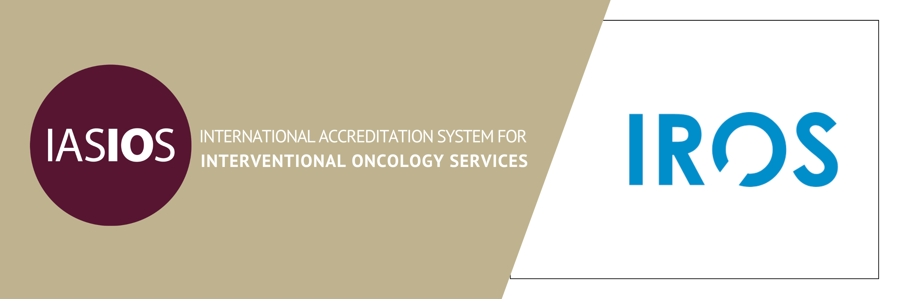 IROS 2025 – IASIOS